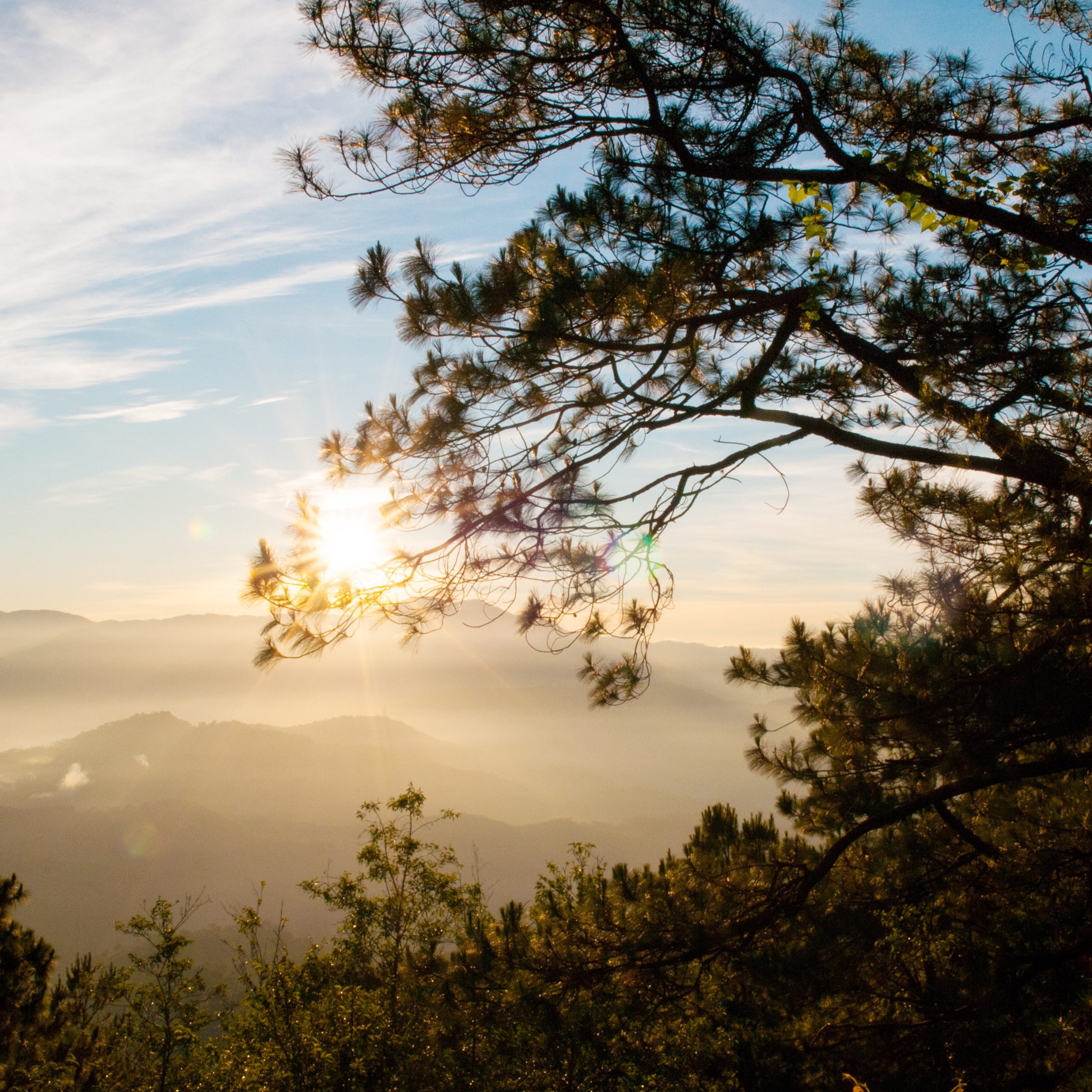 BAGUIO: THE SUMMER CAPITAL OF THE PHILIPPINES! - Luxorr Escapes
